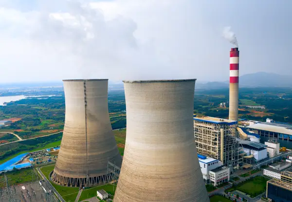 Power Plants - Absstem